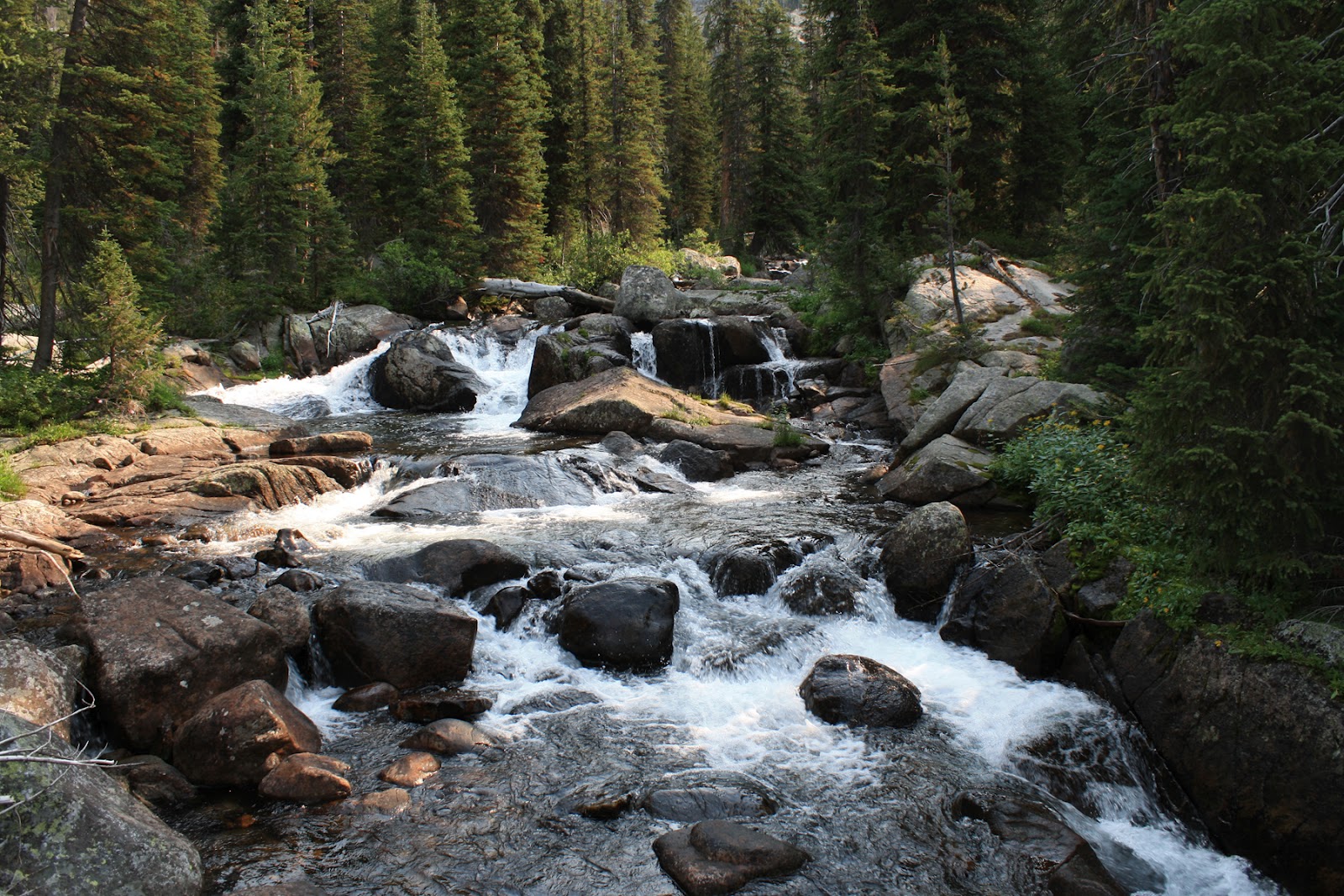 Living and Dyeing Under the Big Sky: Russell Creek - Beartooth ...