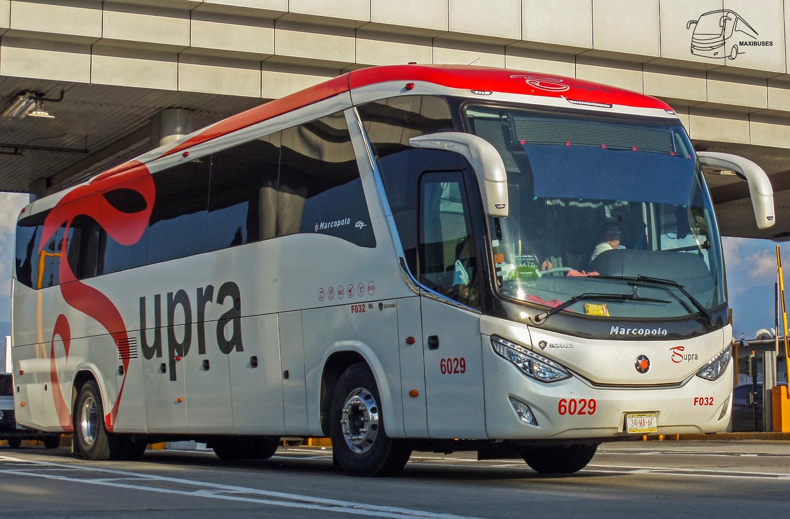 MAXIBUSES: SUPRA