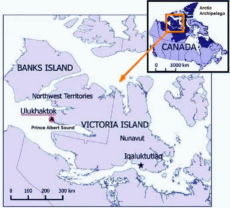 O LIVRO DE AREIA: Ulukhaktok (Holman), aldeia inuit com arte na llha de ...