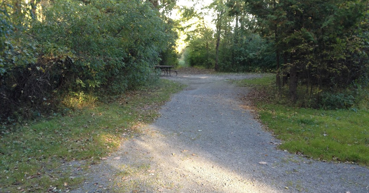 The Campsites: Fitzroy Ontario Provincial Park, site 284