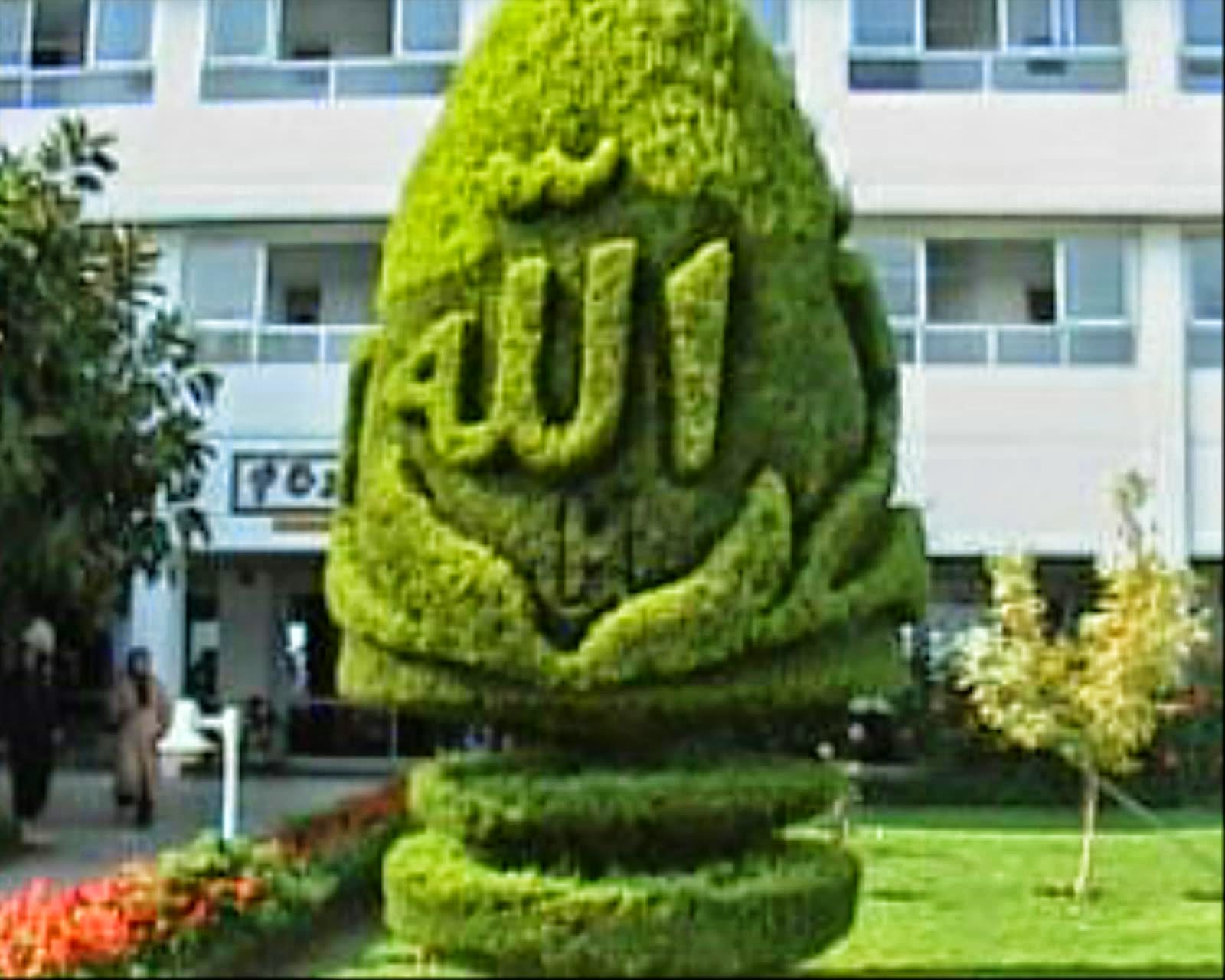 Allah & Muhammad Names Images - Nature & Knowledge Photography