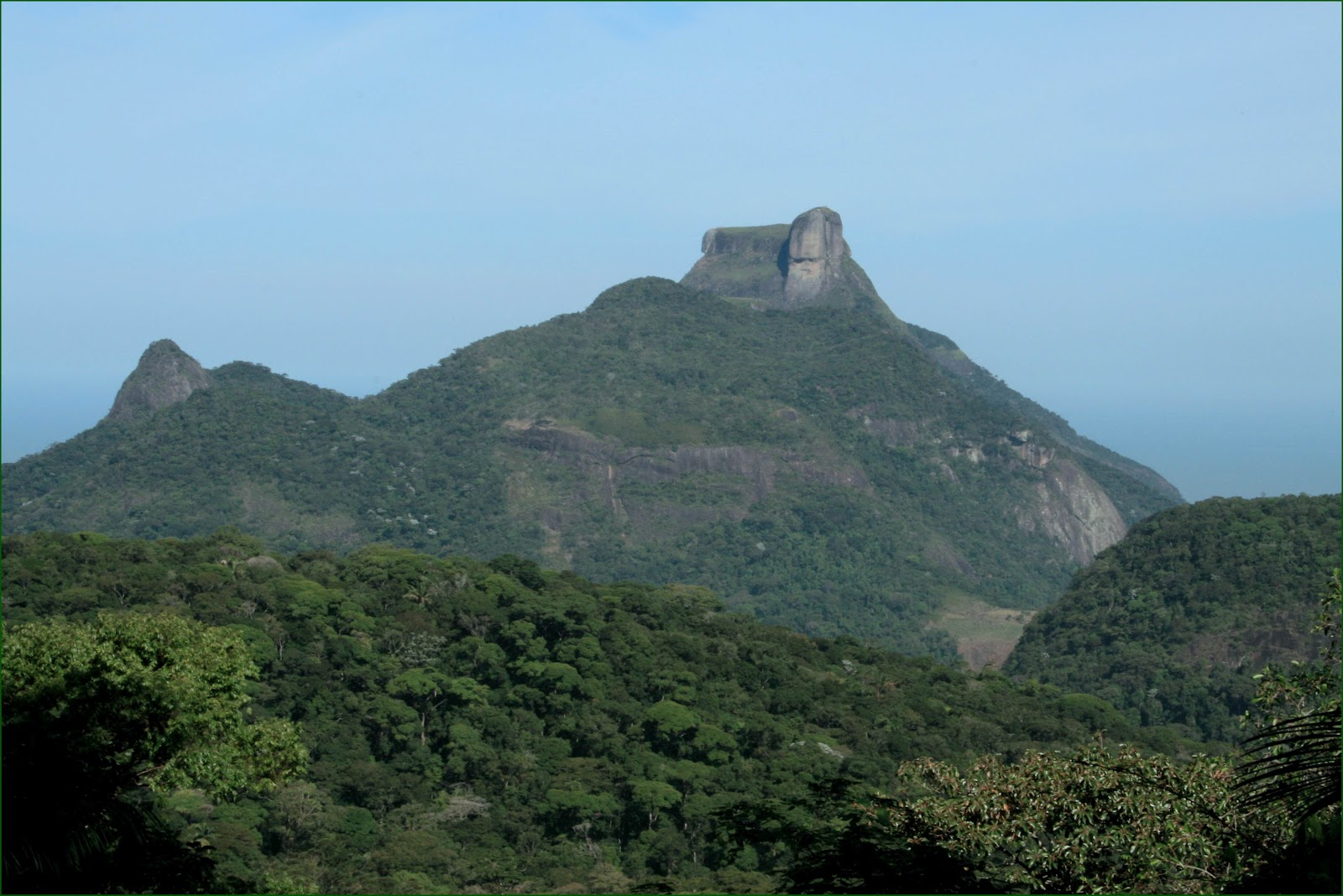 NATUREZA VERDE DESCONHECIDA.: Á FLORESTA DA TIJUCA; COM SUAS BELEZAS E ...