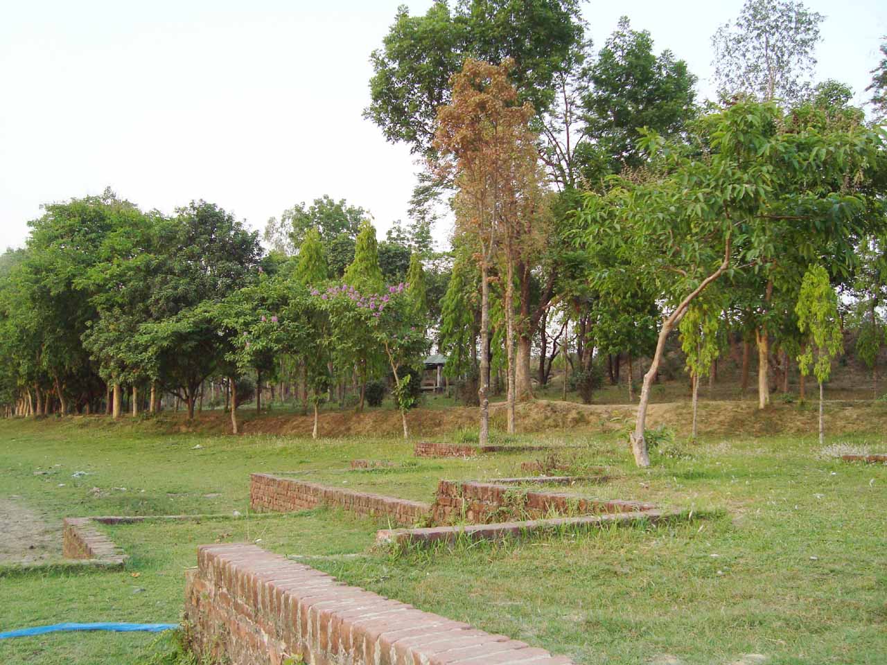 SHIPON BARUA (SHIPU): (Rangpur Division)
