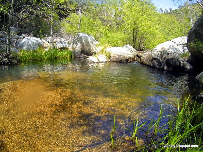 California Stream Fishing: Brown Trout - Hunting the River King