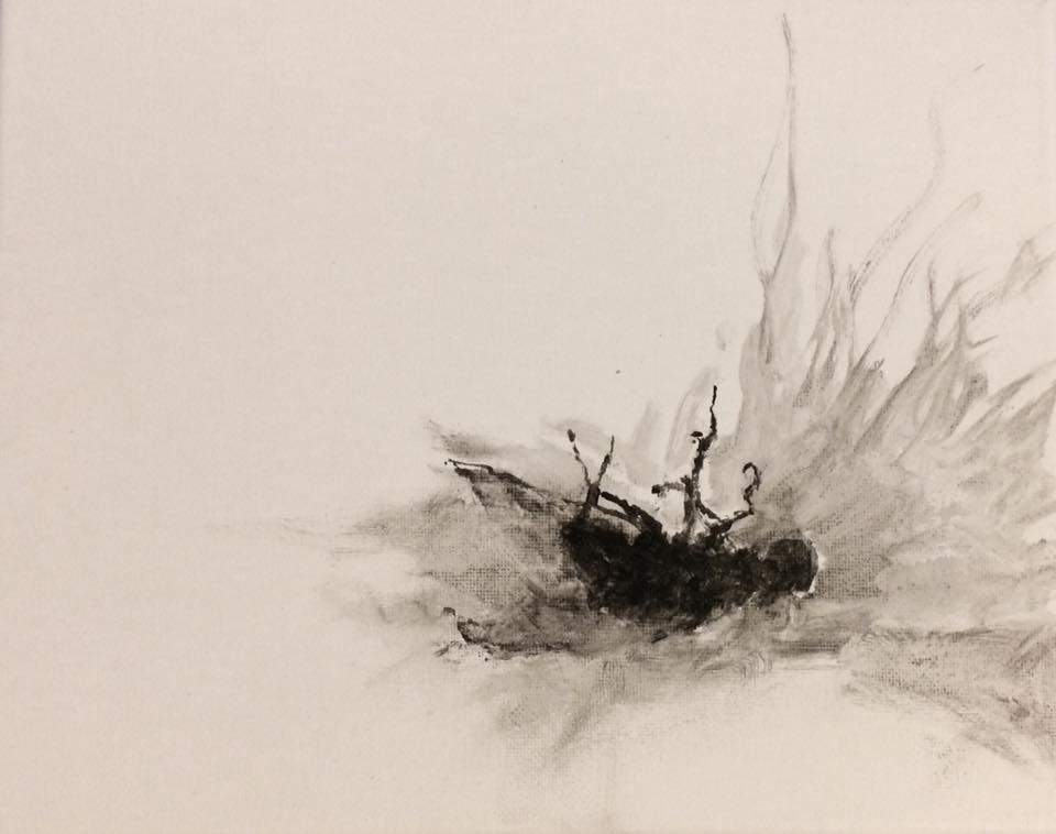 The Dead Fly Project: Dead Fly 66 Splat!