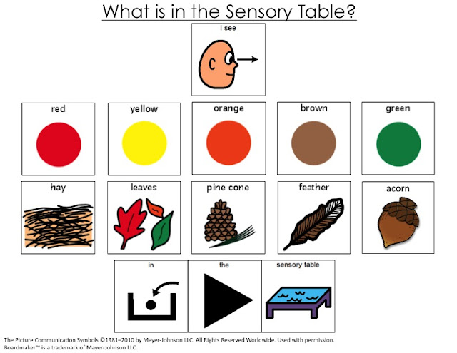 Sensory Table Visual Support {FREEBIE} | creating & teaching