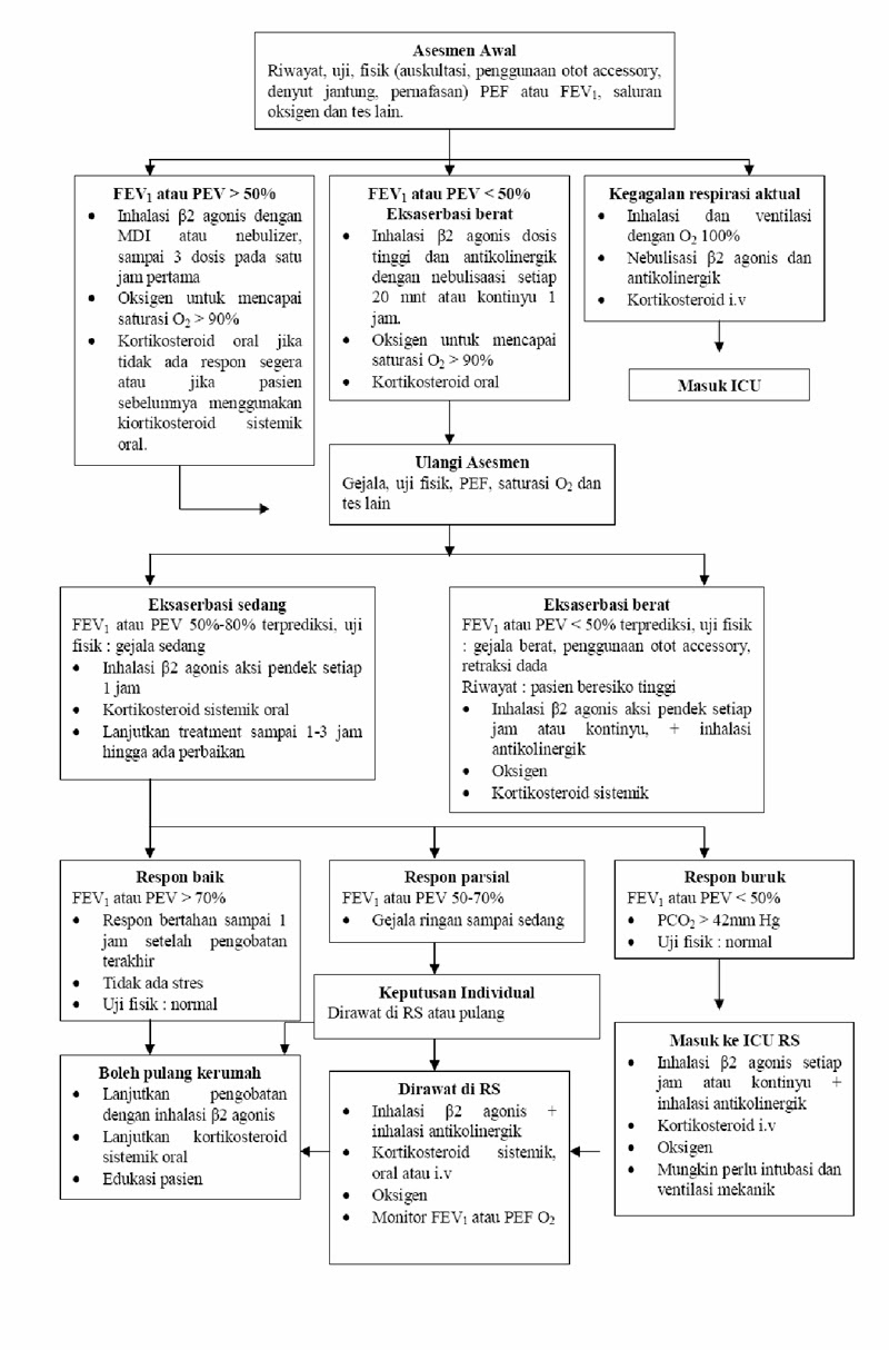 Asma | Apoteker: We Care