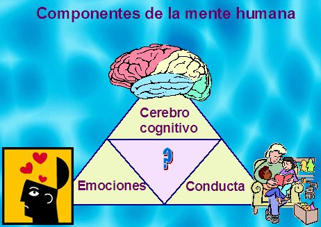 admon del conocimiento