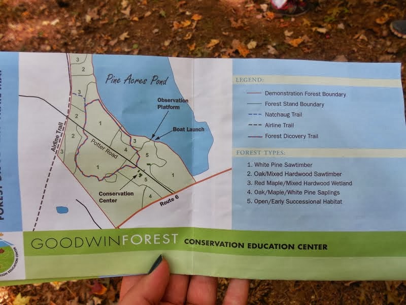 Science Lessons With Our Hiking Group