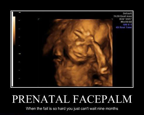 Funny Facepalm demotivational posters | Venus Wallpapers