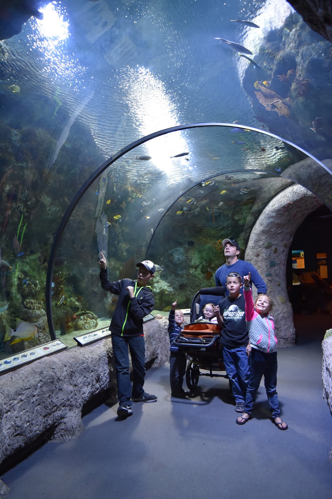 The Ward Crew (continued)............: Albuquerque Aquarium