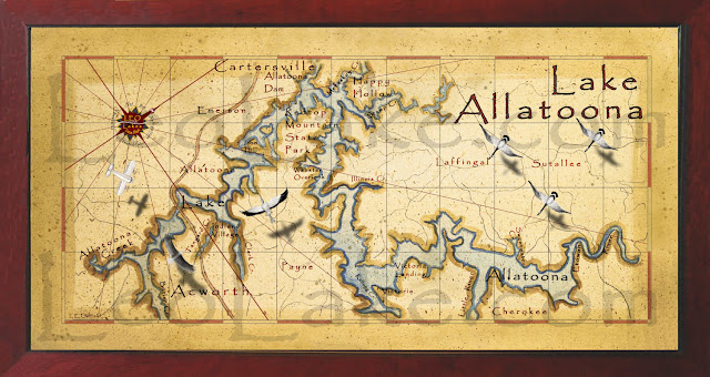 Old field Studio & Leo Lakes: Lake Allatoona