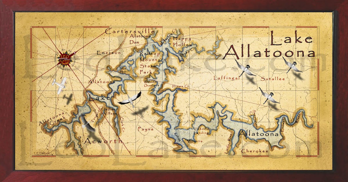 Old field Studio & Leo Lakes: Lake Allatoona