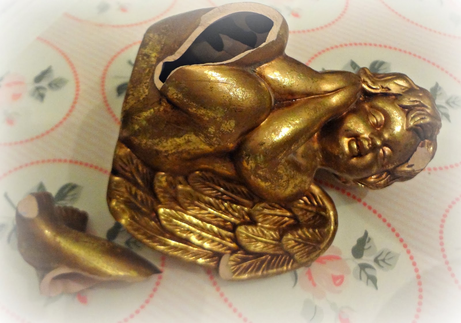 For the love of white: Imperfect Angel, Gage, and Snow!