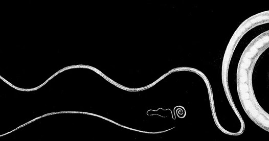 Pengertian Cacingan, Jenis, Gejala dan Cara Mencegahnya