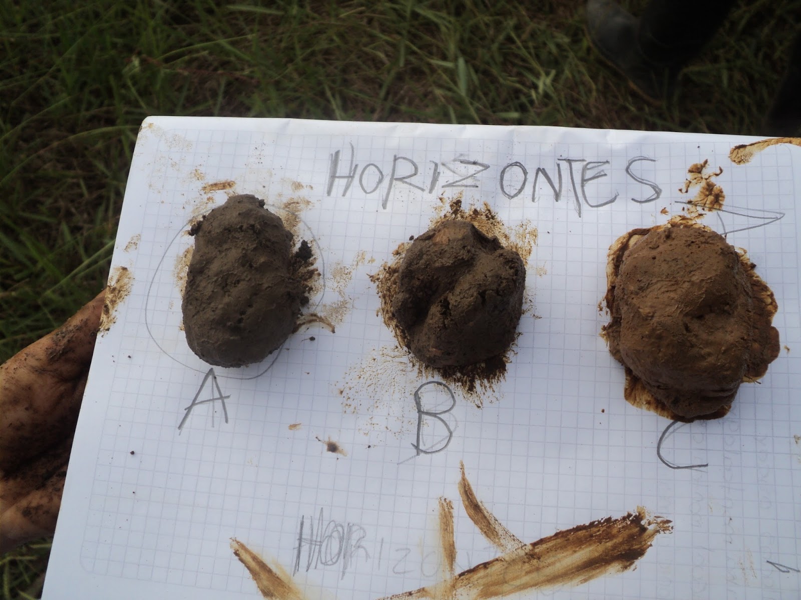 SALIDA PARA LA REALIZACIÓN DE LA CALICATA