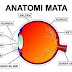 Alat Optik: Pengertian, Macam, Gambar, Rumus, Contoh Soal dan ...
