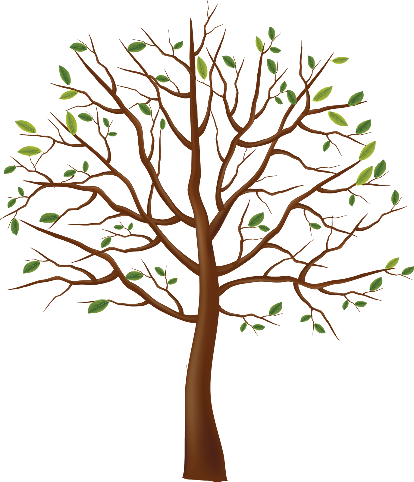 TREE PNG IMAGES PNG TREE PNG HD FREE PNG IMAGES PNG TREES HD TREE FULL ...