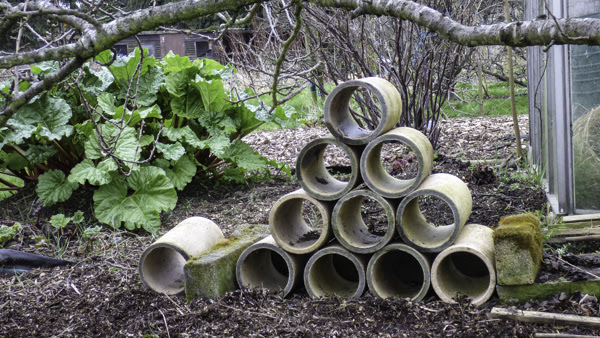 Our Plot at Green Lane Allotments: Bug hotel or more accurately bug ...