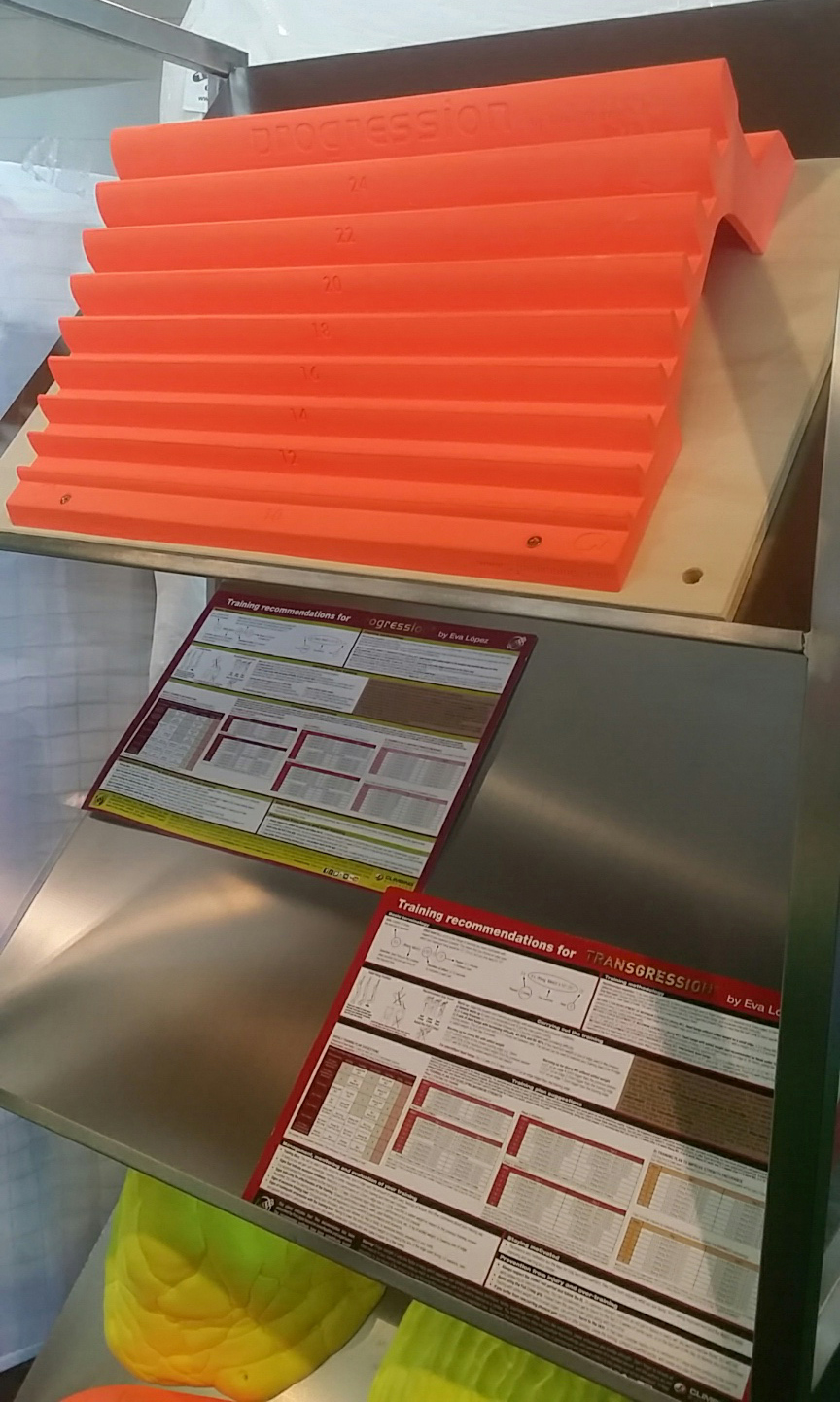 Transgression, a hangboard for high level climbers | Eva López, PhD ...