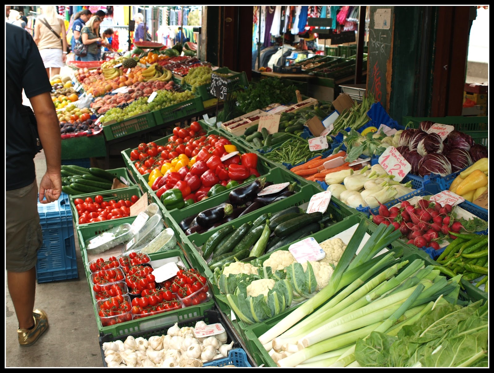 Mark's Veg Plot: August 2012