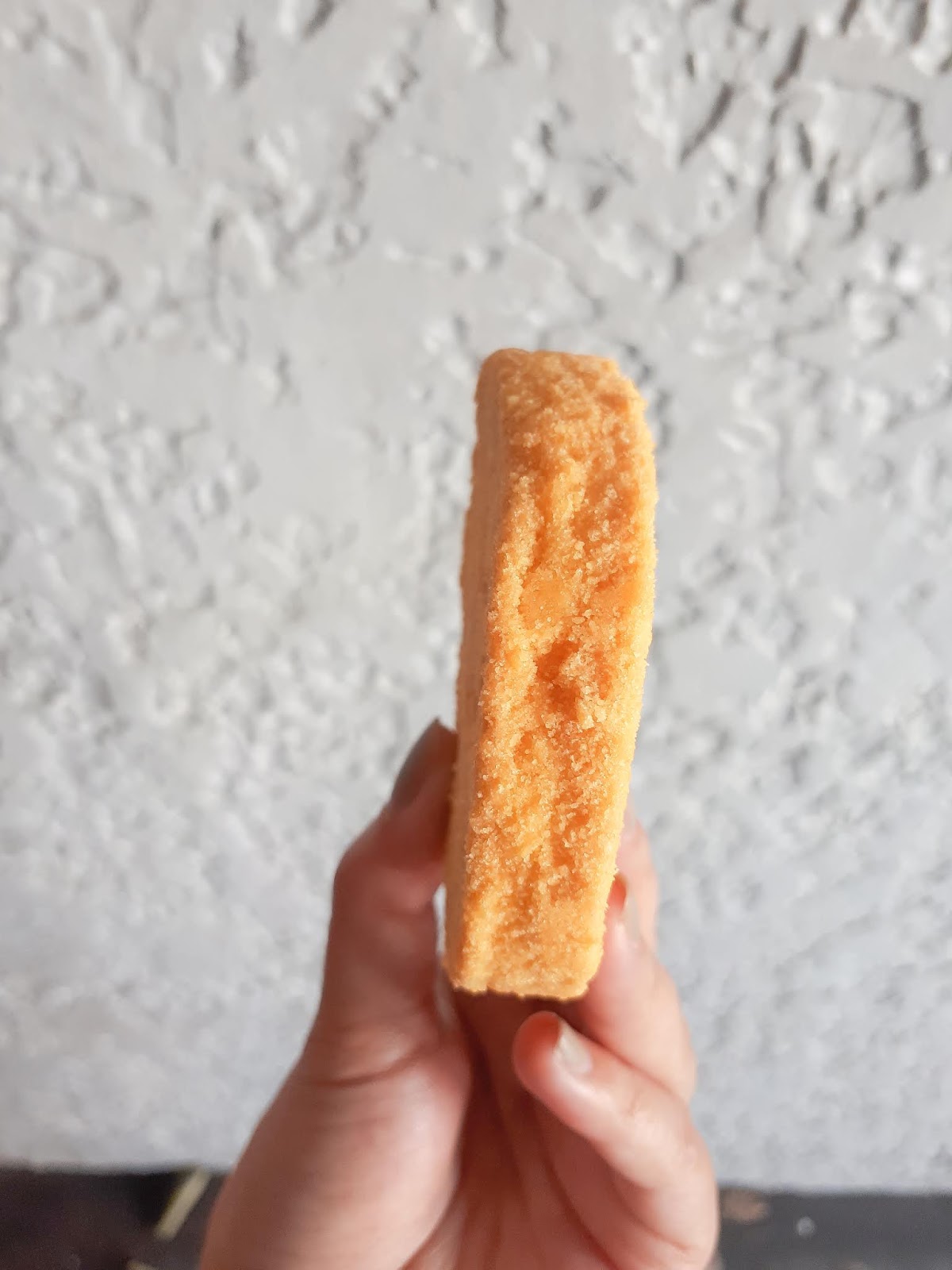 Silvanas by Sans Rival, Dumagete - The Foodinista