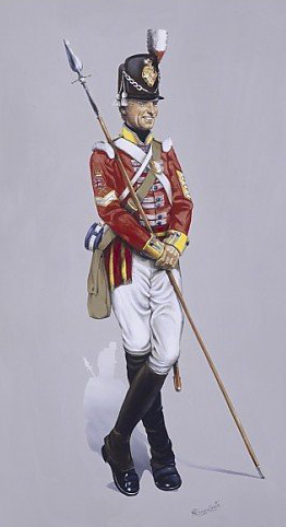 Napoleonic Swords and Sabers Collection: 37th Regiment of Foot officer ...
