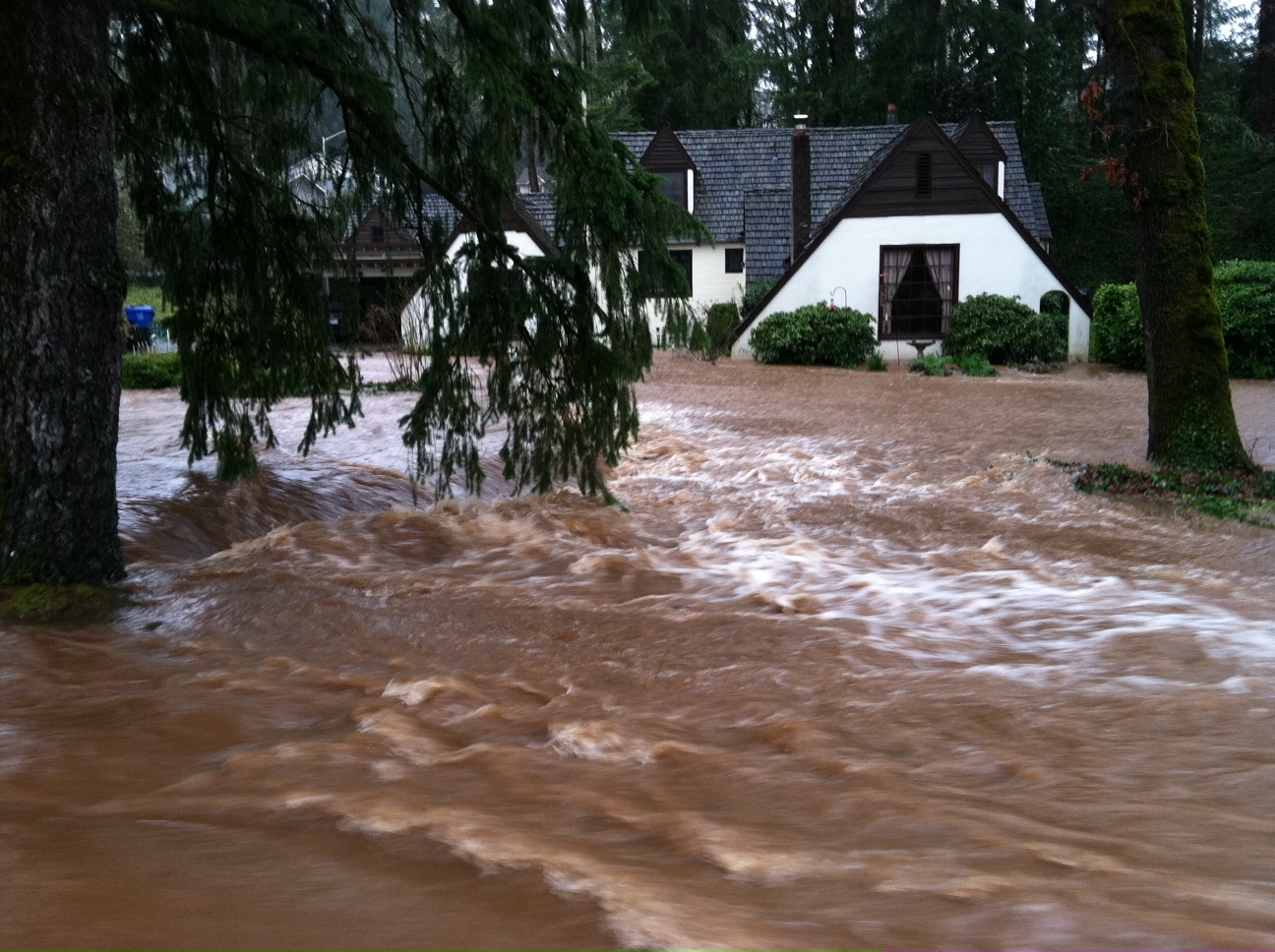 ginocorridori.com: Flooding on Croisan Creek