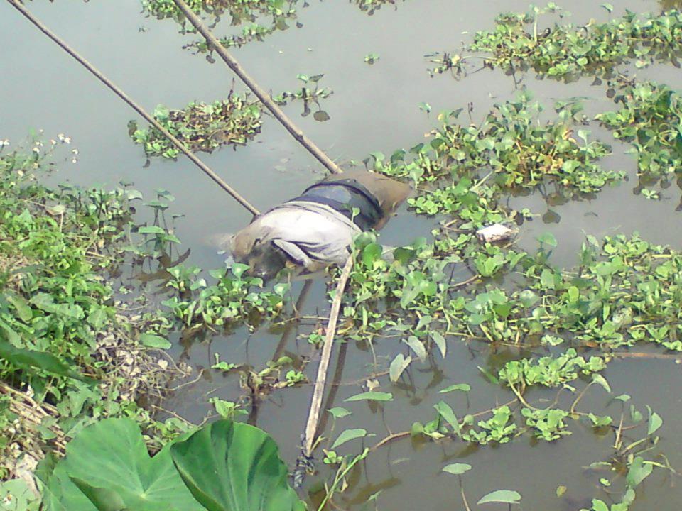 Xác chết trôi sông tại thị trấn Cồn - Hải Hậu - Nam Định - Ảnh Nóng ...