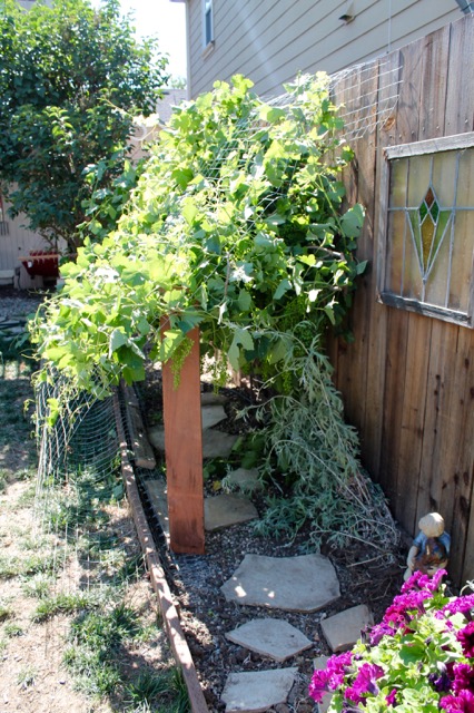 The Musings of a NICU Mommy: A Living Garden Fort