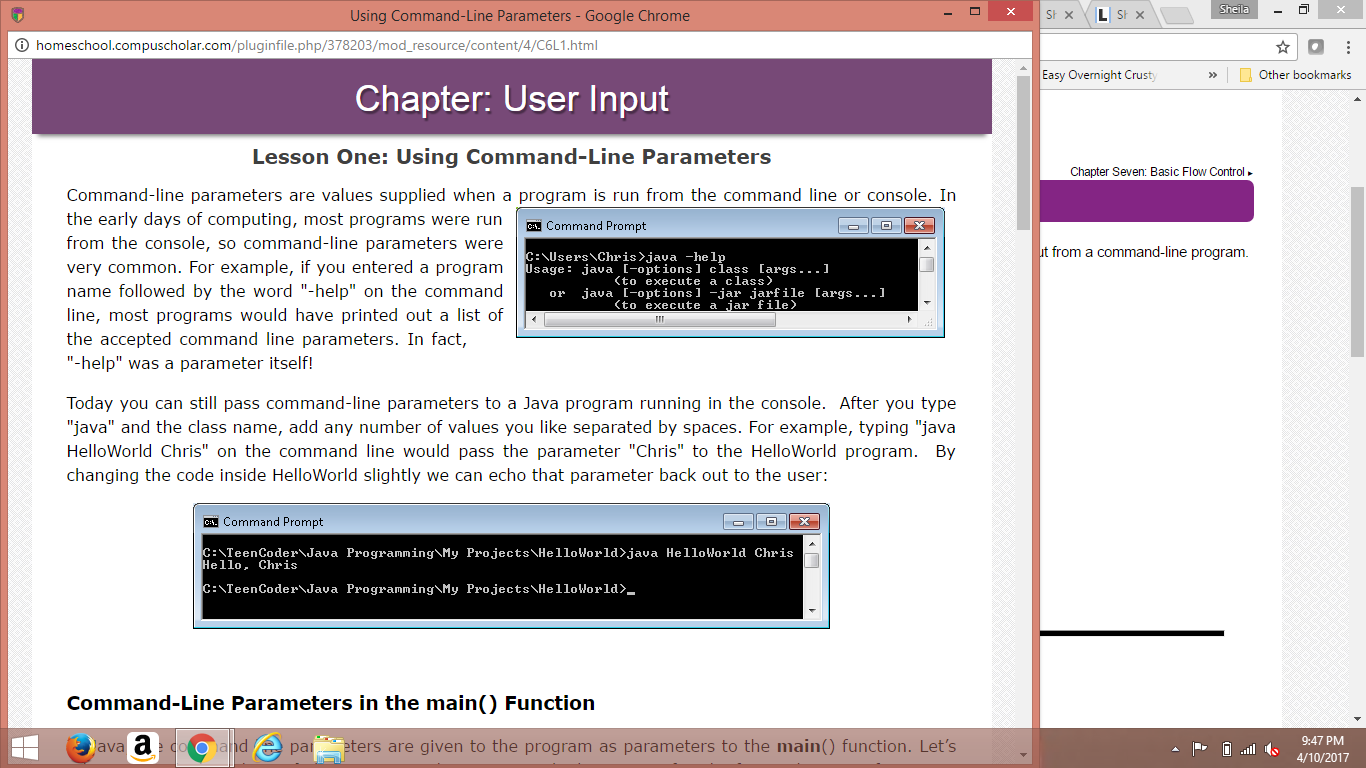 Troutwife Java Programming With Compuscholar Inc My Review