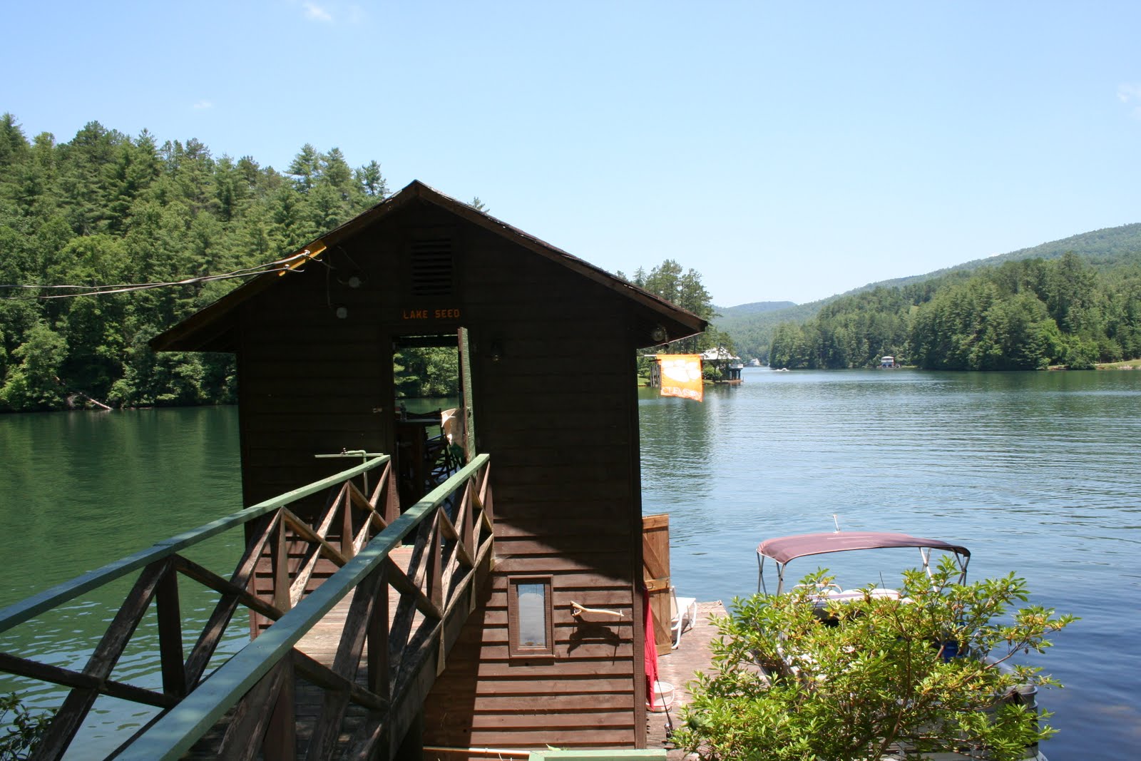 Ironstone and Pine: Life and Hydrangeas at The Lake Shack