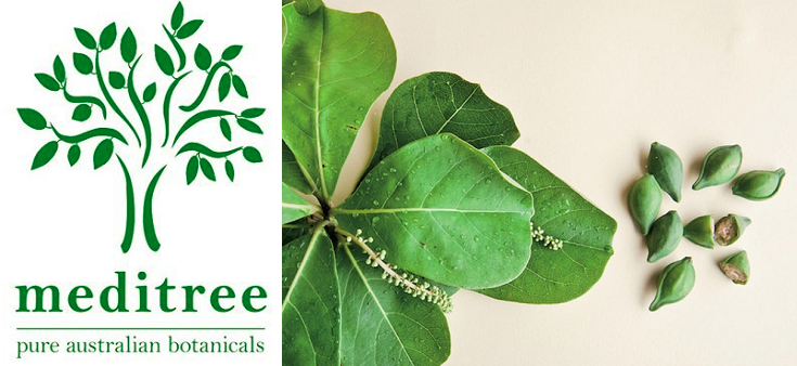 oh{FISH}iee: Review: MEDITREE Tea Tree Skincare for Oily, Combination Skin