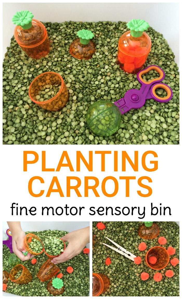 Planting Carrots Sensory Bin