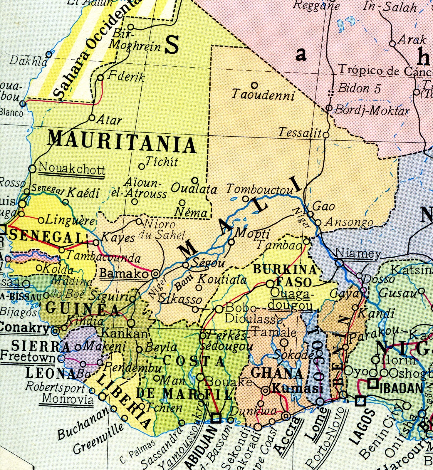 BIODIVERSIDAD FORESTAL: Biodiversidad Forestal (MALI)