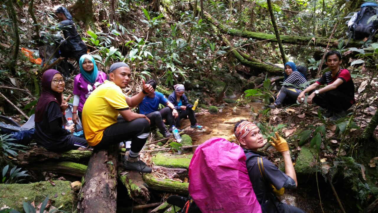 Hiking Log : Trans Tikus Makmal (Pine tree - Twin Peak - Semangkuk ...