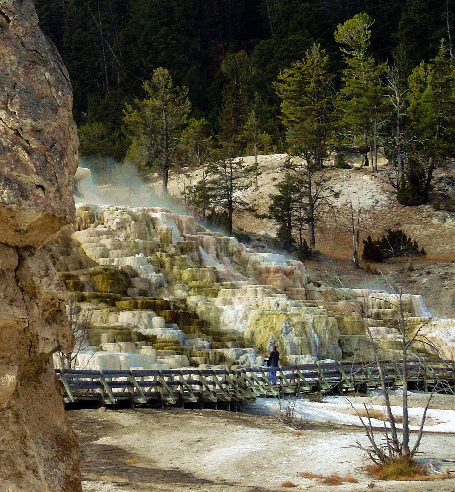 Focusing On Travel : Yellowstone: Mammoth Hot Springs are Really Cool ...