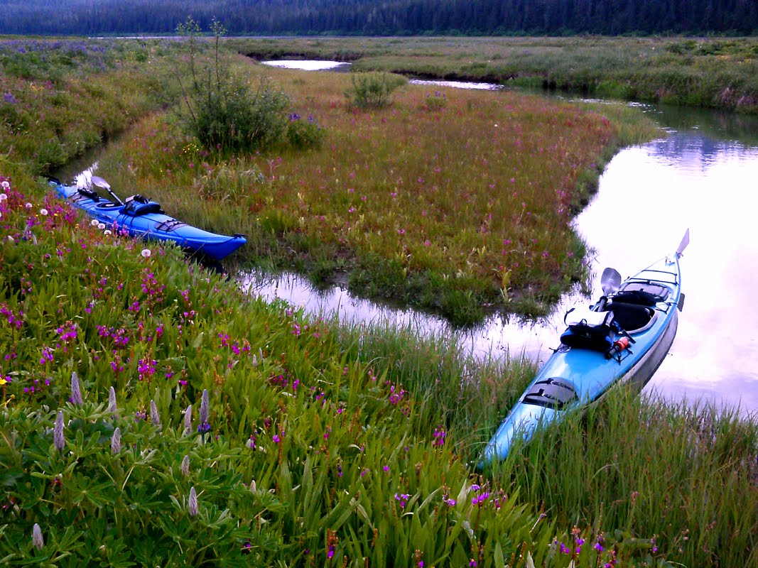 Northwest Explorer: Point Couverden to Saint James Bay 2016