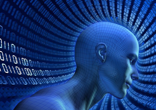 Martín Peña Libros: Los distintos niveles de percepción humana