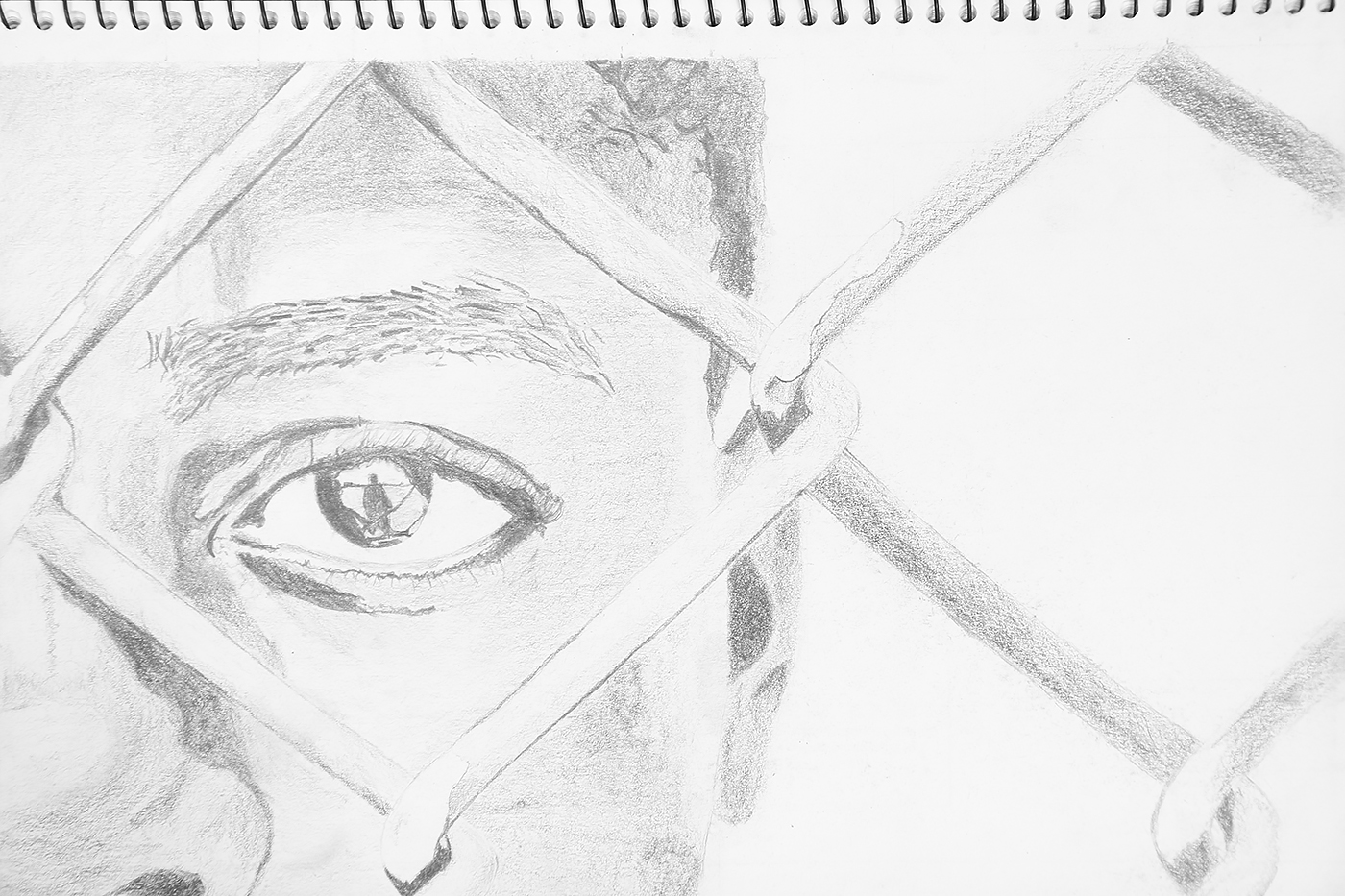 TSS Visual Art Year 9: Class 9/2 lead pencil drawing task