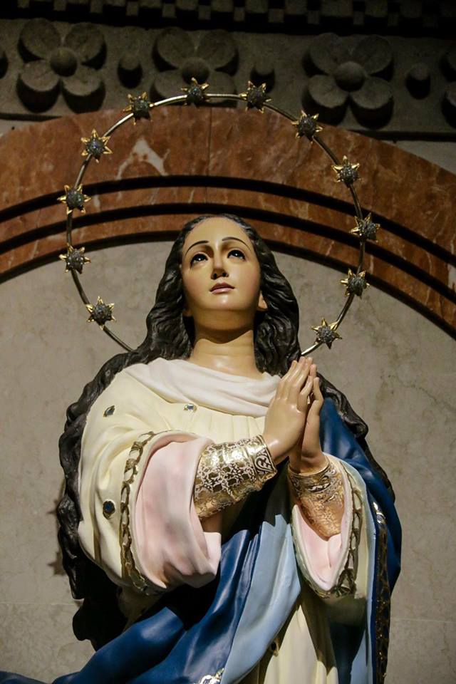 SALITANG BUMUBUHAY : KALINIS-LINISANG PAGLILIHI SA MAHAL NA BIRHENG ...