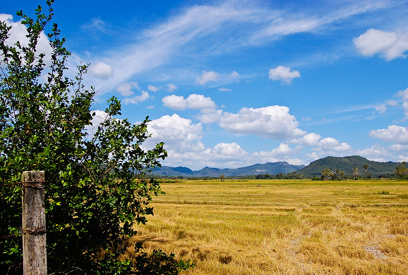 KODIANG AGRARIAN EXPO 2012: About the location