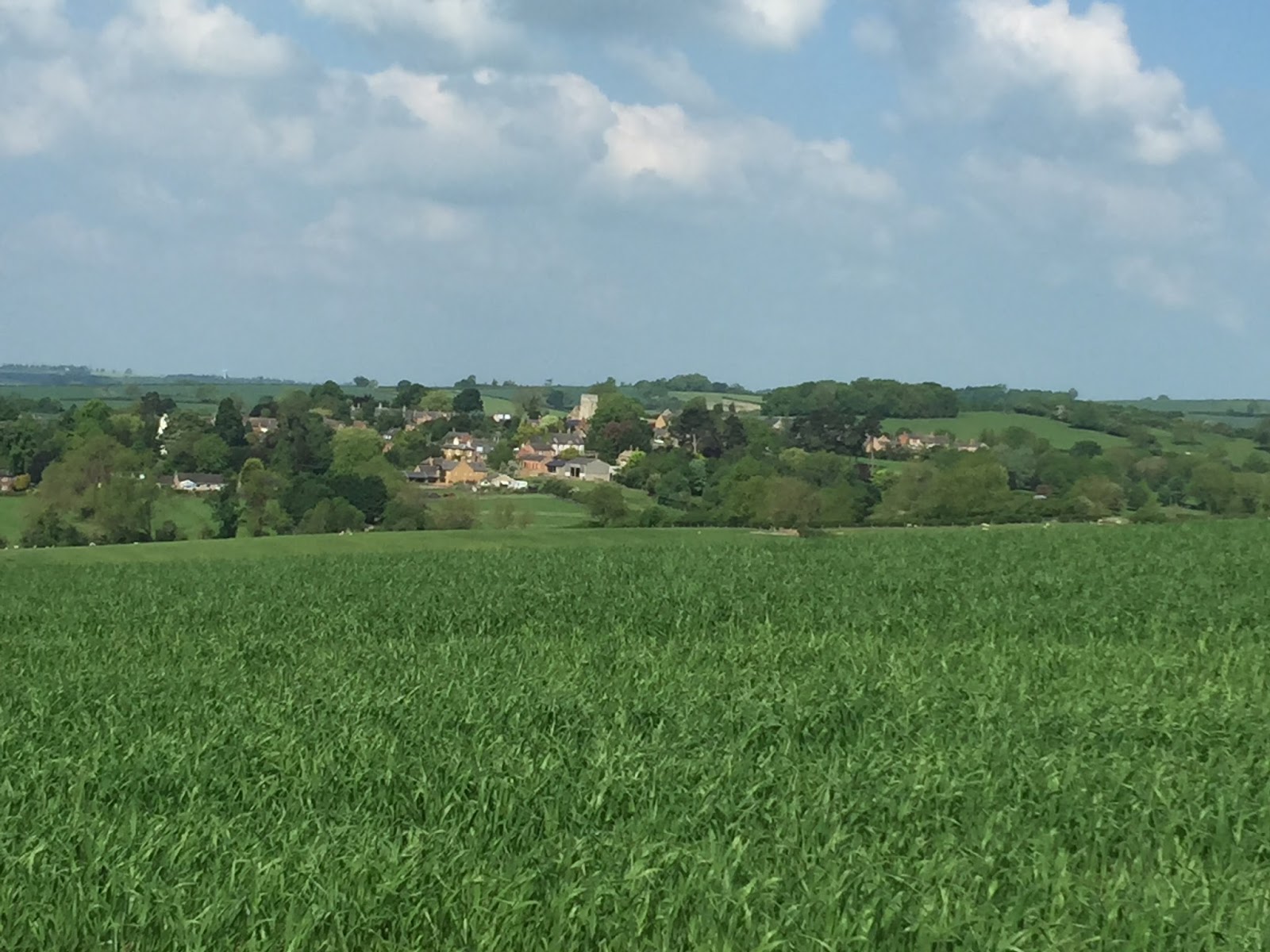 aliwalks : Belton in Rutland, Ridlington - three walks over same route.