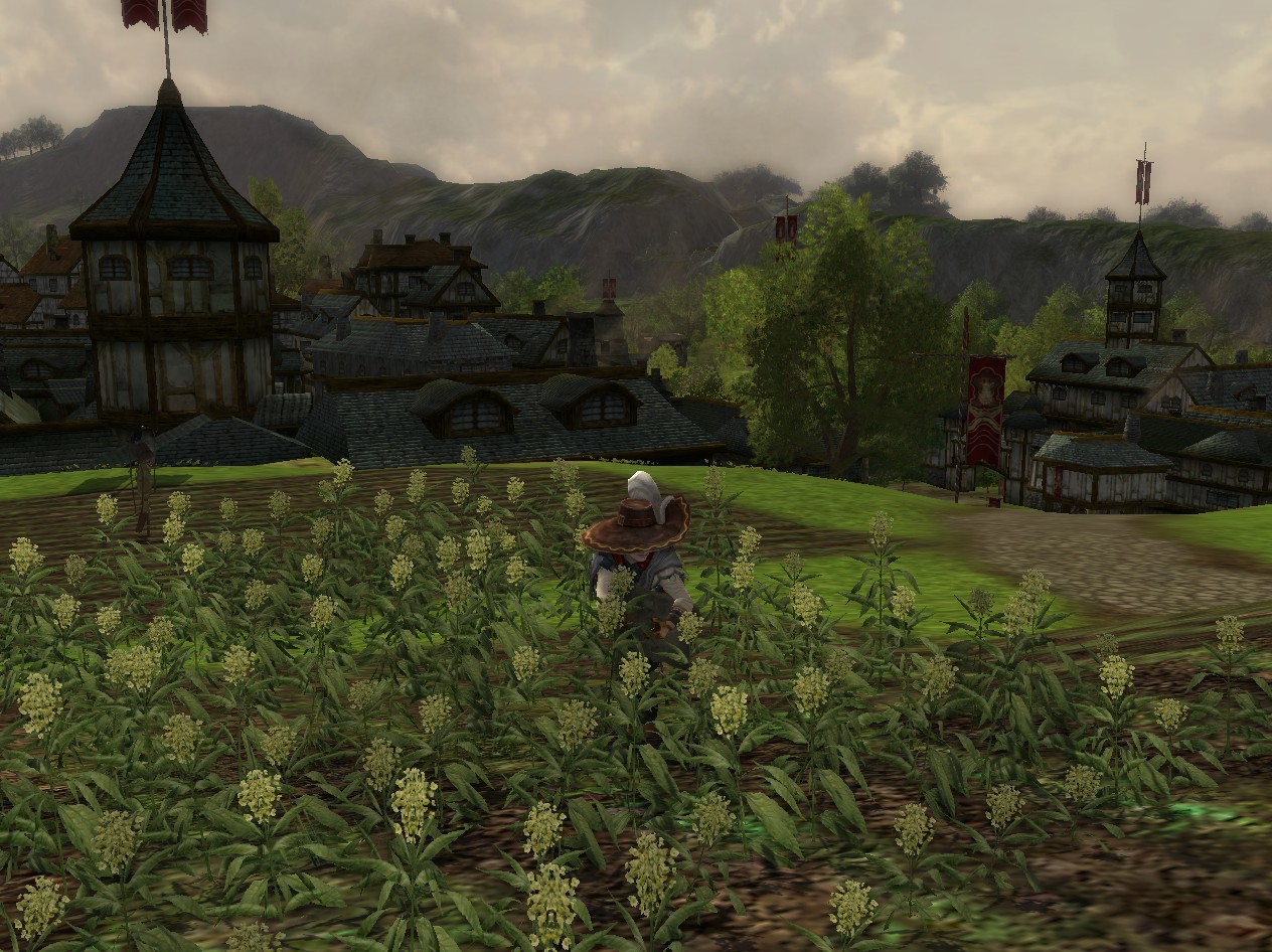 LOTRO Levelling Guide: Crafting: Cooking & Farming