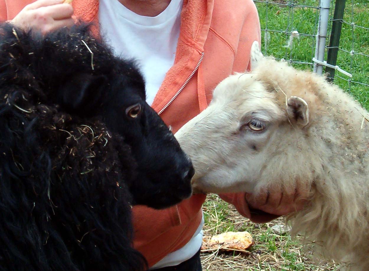 e-i-e-i-omg!: I hugged. Kay shot.