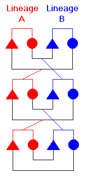 Cultural Differences/Similarities ...?