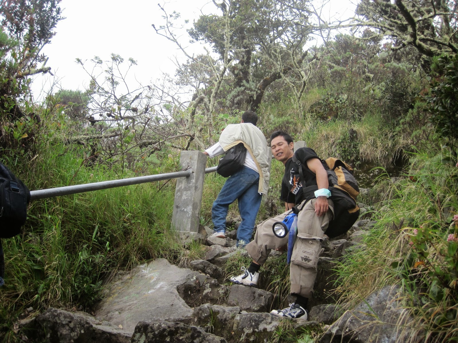 pesona puncak lawu: pesona puncak gunung lawu