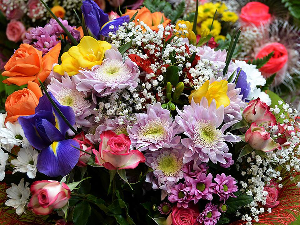 Cores & Sabores: Trouxe Flores para Alegrar seu Dia!