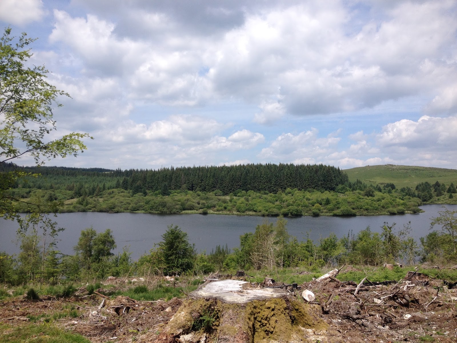 Devon Dad: Fernworthy Reservoir Chagford