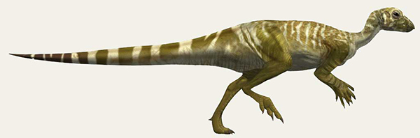 Mundo Pré-Histórico: Ornitópodes (Ornithopoda)